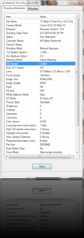 Ron Martinsen's Photography Blog: Canon 1D Mark IV has arrived – Thanks ...